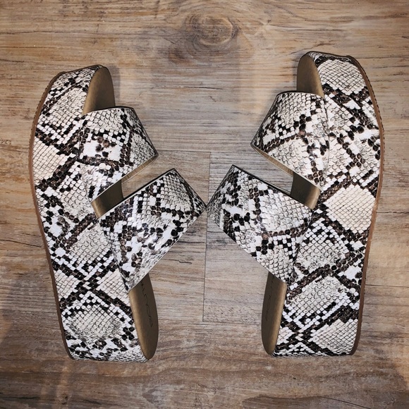 Corkys | Shoes | Corky Shamrock Slide On Platform Wedge Snakeskin ...